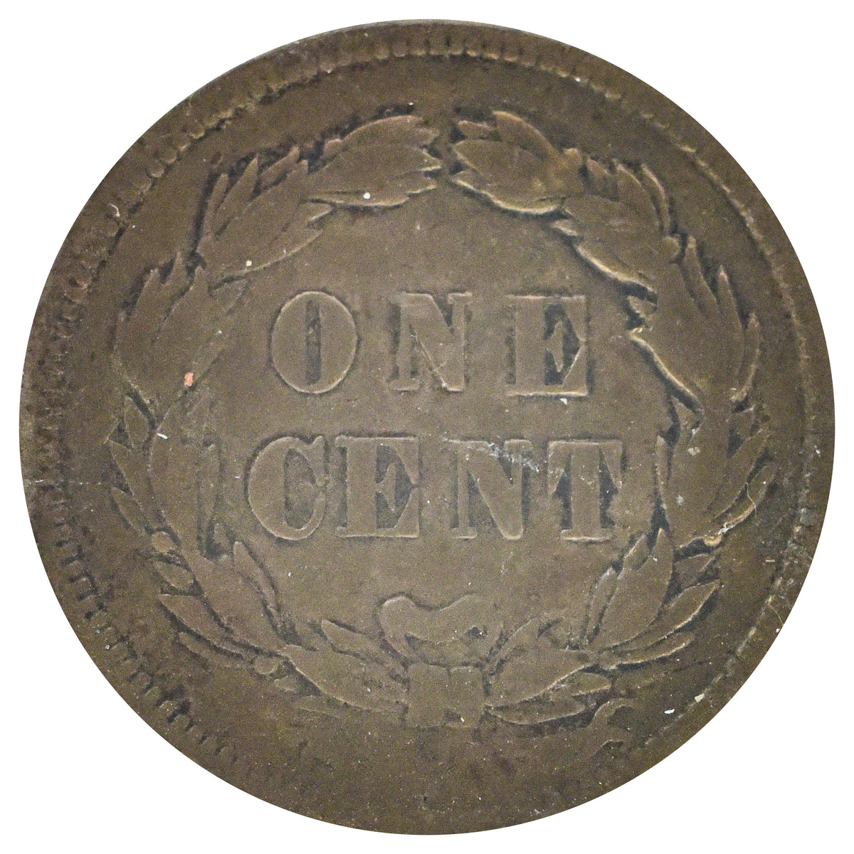 1859 Indian Head Cent (VG) – CCI