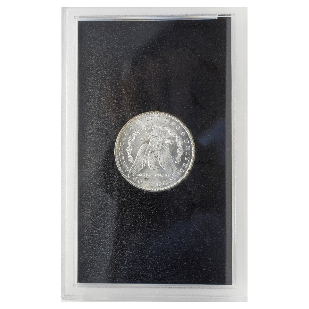 1884-CC Morgan Dollar GSA Hard Pack (Box & COA Included) – CCI